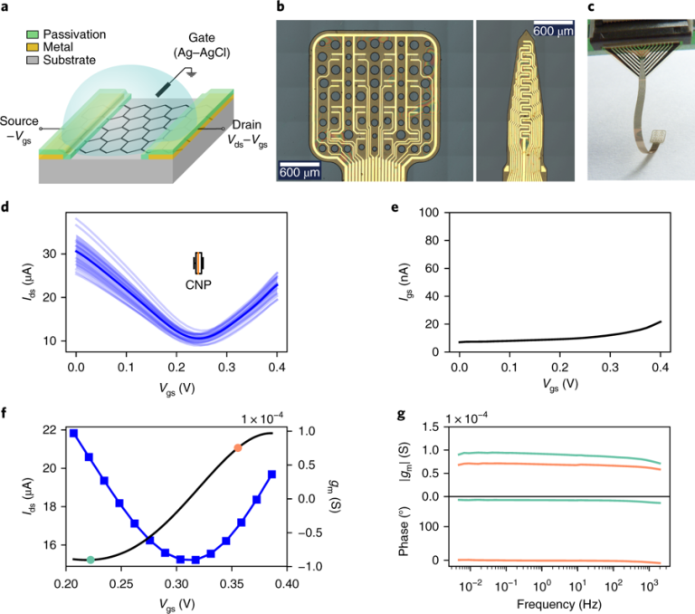 Graphene-based implant overcomes technical limitation to record brain ...